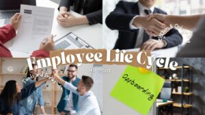 Employee Life Cycle: Key Stages and HR Best Practices